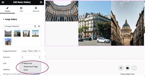 Basic Gallery Widget Elementor
