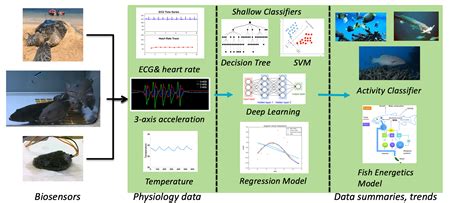 Ubiquitous Ai Distributed Sensing Systems Group