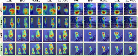 Figure 1 From Bagging Regional Classification Activation Maps For