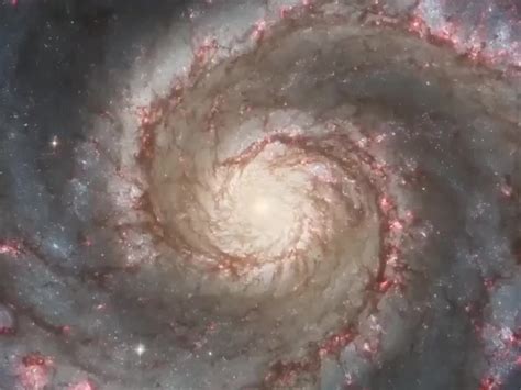 The Limitations Of Understanding By Brian Cox Album On Imgur