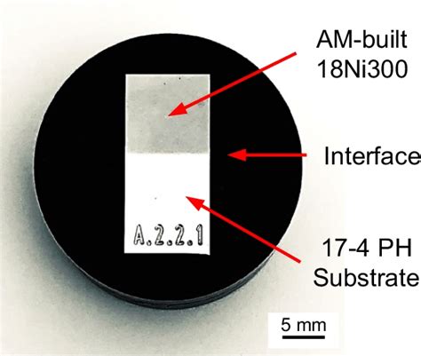 Mounted Specimen For Microstructure Analysis Download Scientific Diagram
