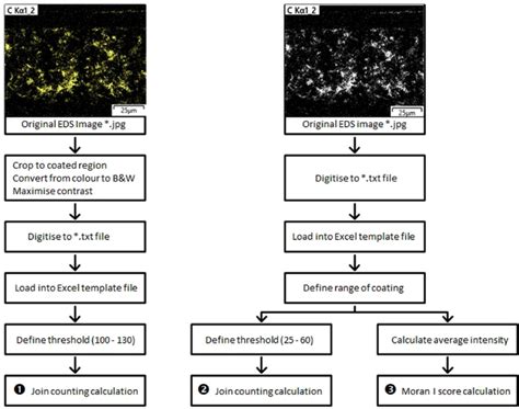 Alternative Options For Eds Data Analysis Download Scientific Diagram