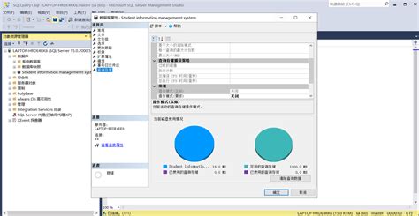 Sql Server2019的microsoft Sql Server Management Studio2019使用教程小知识点、名词