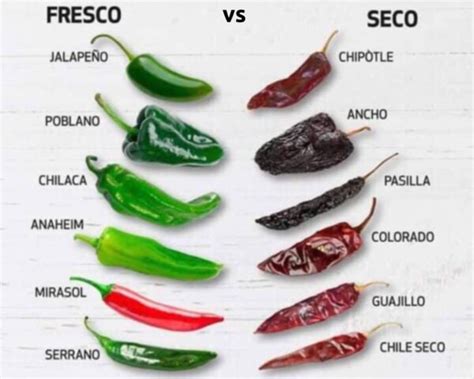 Mexican Chile Oil Salsa Macha Farm To Jar