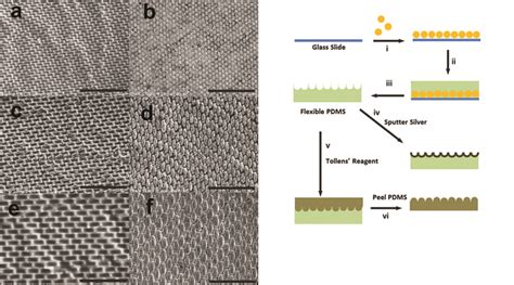 Periodic Silver Nanopore And Nanoparticle Arrays With Controlled Shape And Size Advanced