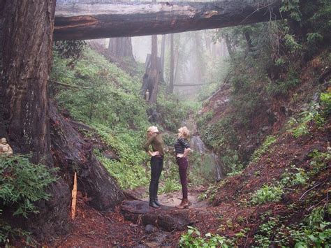 Taylor Swift In A Forest Situation With Karlie Kloss R Photoshopbattles