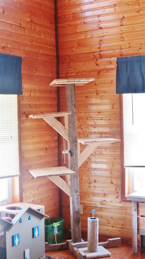 Diy Cedar Cat Tree For My Ragdoll Cats Xqmdxb