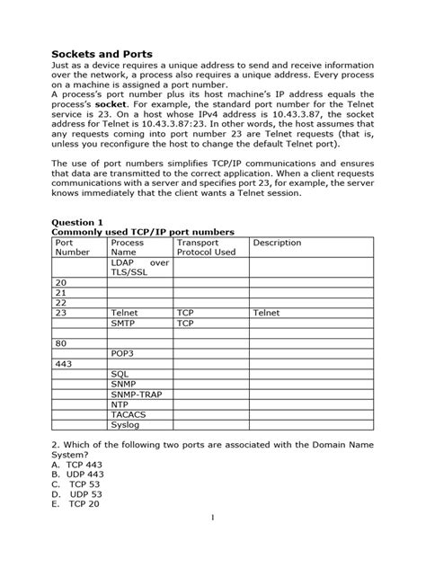 sockets and ports assignment pdf port computer networking