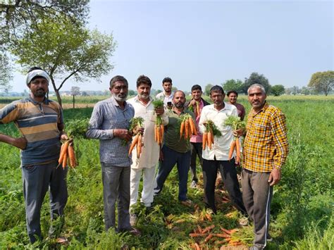 Saikat Roy On Linkedin Startup Opportunities Farmers Solarpumps Farmerincome Carrots 14