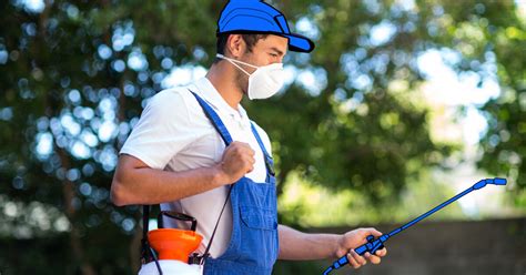 Pest Control Jobs In London Airtasker Uk