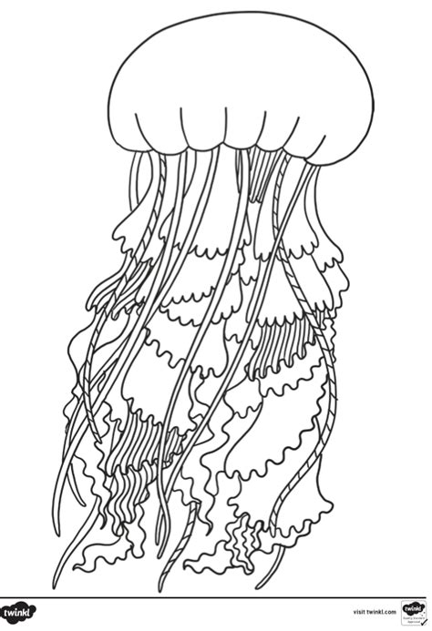 Week Homework Guidelines MS MEAGHER S RD CLASS