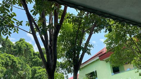 Film Pendek Bahasa Bugis Duppa Mata” Sma Negeri 1 Pare Pare X Cerdas 9 Youtube