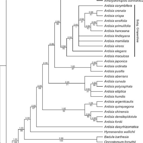 Bayesian Majority Rule Consensus Tree Based On Combined Its And Six Download Scientific Diagram