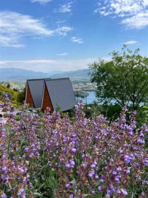 Doel House Shkodër Precios Actualizados 2025