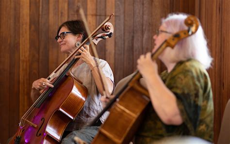 Adult Intermediate Cello Class Cello Dreaming Inspire Discover Imagine Cellist Louise King