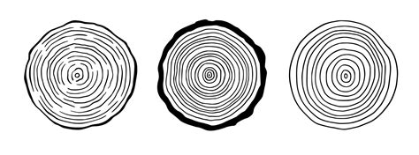 Tree Ring Wood Circle Set Hand Drawn Tree Ring Pattern Line Ripple Circle Wood Texture Wood