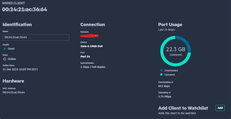 client ip address visibility missing instant on wired