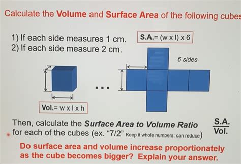 Area Questions And Answers EcoleBooks