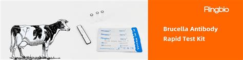 Brucella Antibody Testing With Brucella Antibody Rapid Test Kit