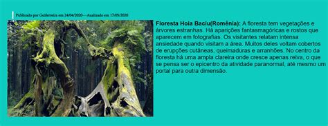 Github Gferreira1902projeto Blog Html Css