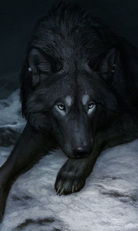 Black Wolf Art Gallery At Shirley Mccormick Blog