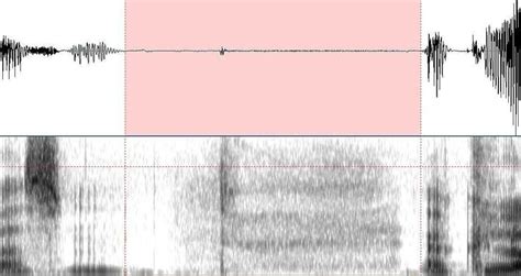 waveform and spectrogram 0 8khz of a section of 1 4 sec with a pause