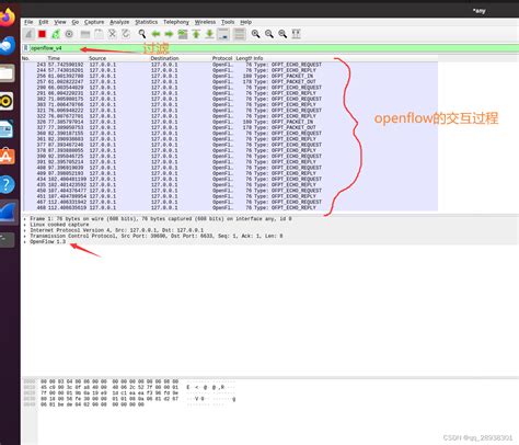 3 1openflow协议原理以及应用（packet包广播风暴）实践 ryu中openflow协议 csdn博客