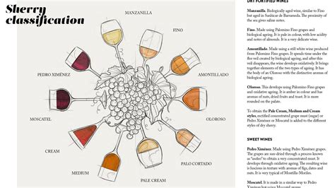Oenology Spanish Wine Academy De Ramón Bilbao