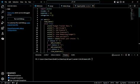 Video Completed Task 2 Of Coding Rajas Budget Tracker Sanjana