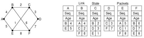 Computer Network Link State Routing OSPF LSA