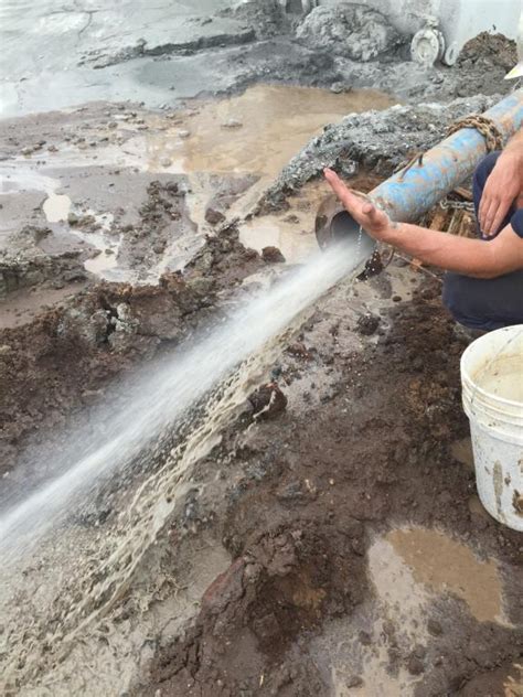 Dynamic Drilling Aust Pty Ltd Review Ratings And Information