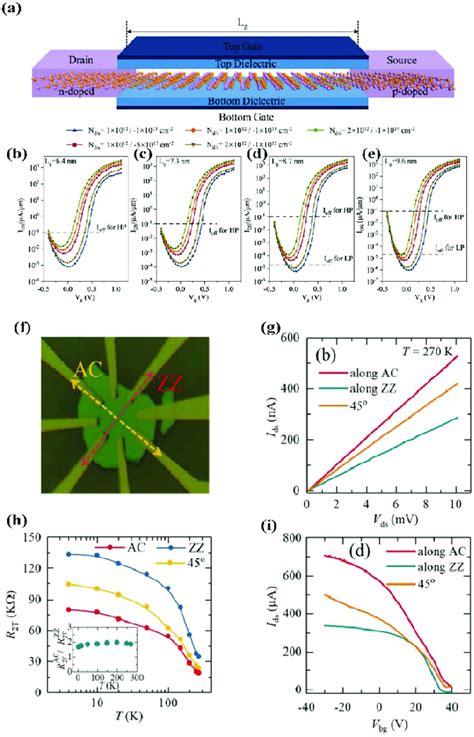 Fet Based On α Asp A Schematic Diagram Of The Double Gate Monolayer Download Scientific