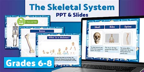 The Skeletal System PowerPoint Google Slides For Th Th