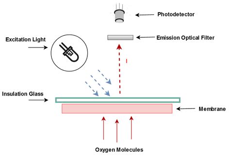 Optical Dissolved Oxygen Sensors At Joshua Allingham Blog