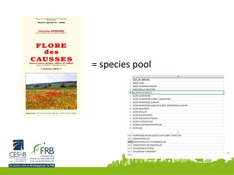 Macroecology Of Species Pools Insights From Network Theory Pptx Geography Science