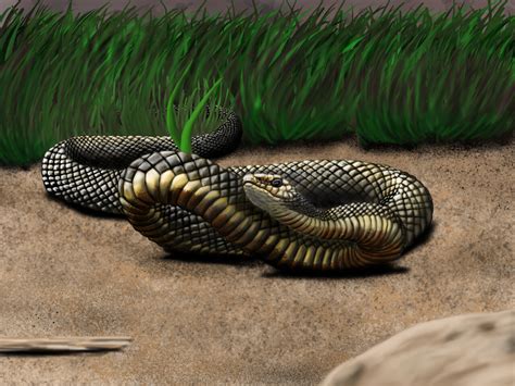 Artstation Змейка