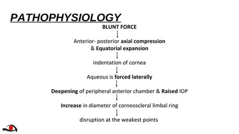 Angle Recession Glaucoma Ppt