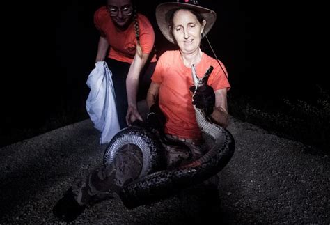 Florida Python Challenge is underway. 32 places you can kill snake without permit, license