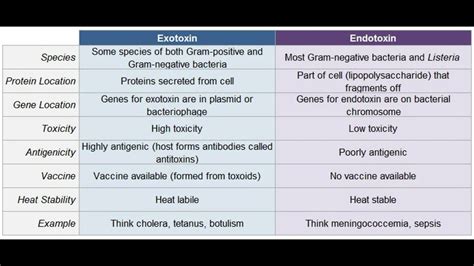 Endotoxins And Exotoxins Bacteria Noorpharmacylectures8513 Youtube Endotoxins And Exotoxins Bacteria Noorpharmacylectures8513 Youtube
