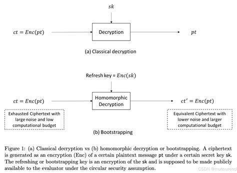 解密全同态加密中的自举(bootstrapping)同态加密自举 Csdn博客 解密全同态加密中的自举(bootstrapping)同态加密自举 Csdn博客