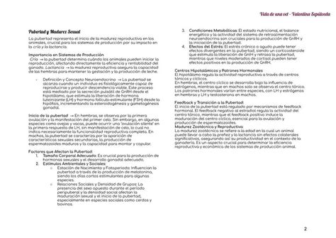 Pubertad Y Madurez Sexual Valentina Sepúlveda Vida De Una Vet Udocz