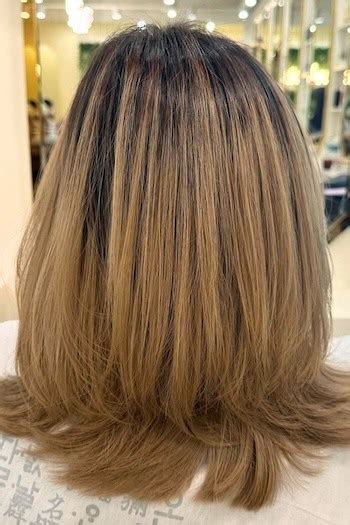 Medium Straight Layered Haircuts Back View