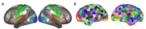 Fig S1 Roi Masks A For Human Connectome Project Data 360 Cortical