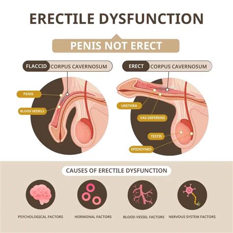 PRP Platelet Rich Plasma Mousai Wellness Center