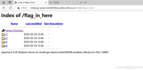Ctfhub 技能树 Web 信息泄露ctfhub技能树 Csdn博客