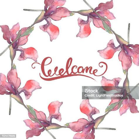 붉은 아이리스 꽃 식물 꽃입니다 수채화 배경 그림 설정 합니다 프레임 테두리 장식 스퀘어입니다 그리기에 대한 스톡 벡터 아트 및 기타 이미지 Istock