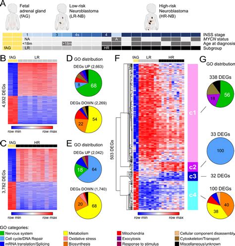 Identification Of The Transcriptional Signature Discriminating Lr Nb Download Scientific
