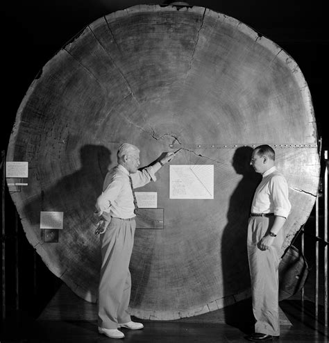 Prometheus Tree Rings