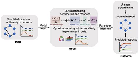 workflow for cellbox augmented by adjoint sensitivity optimization