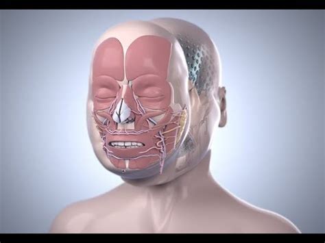 Cleveland Clinics First Total Face Transplant Katie Stubblefield